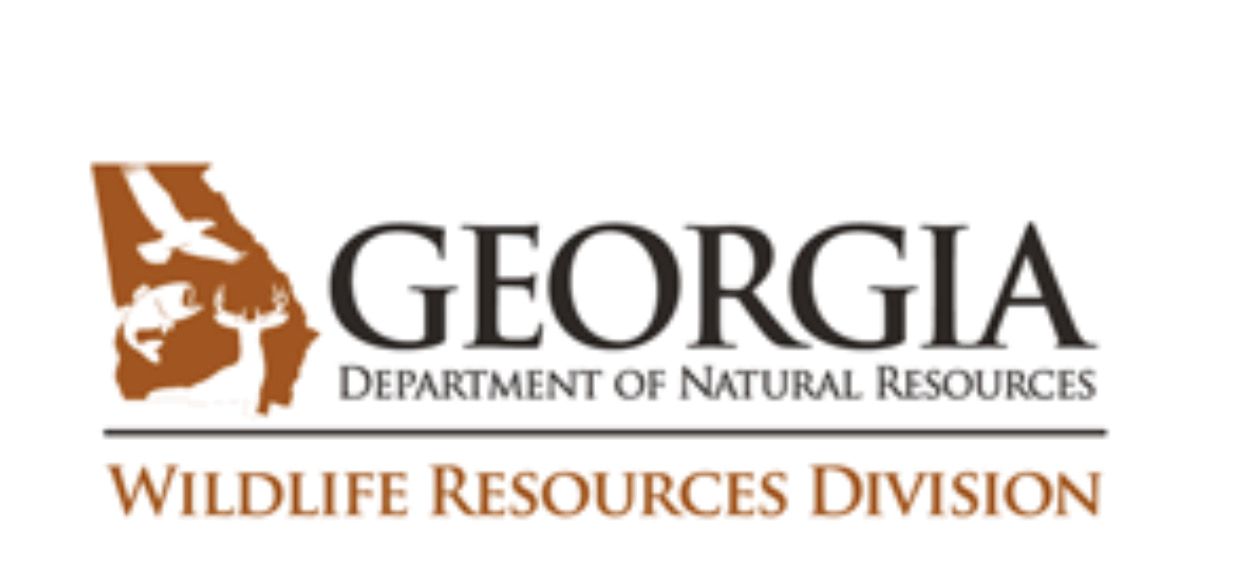 Georgia Department of Natural Resources has gift ideas - Now Georgia